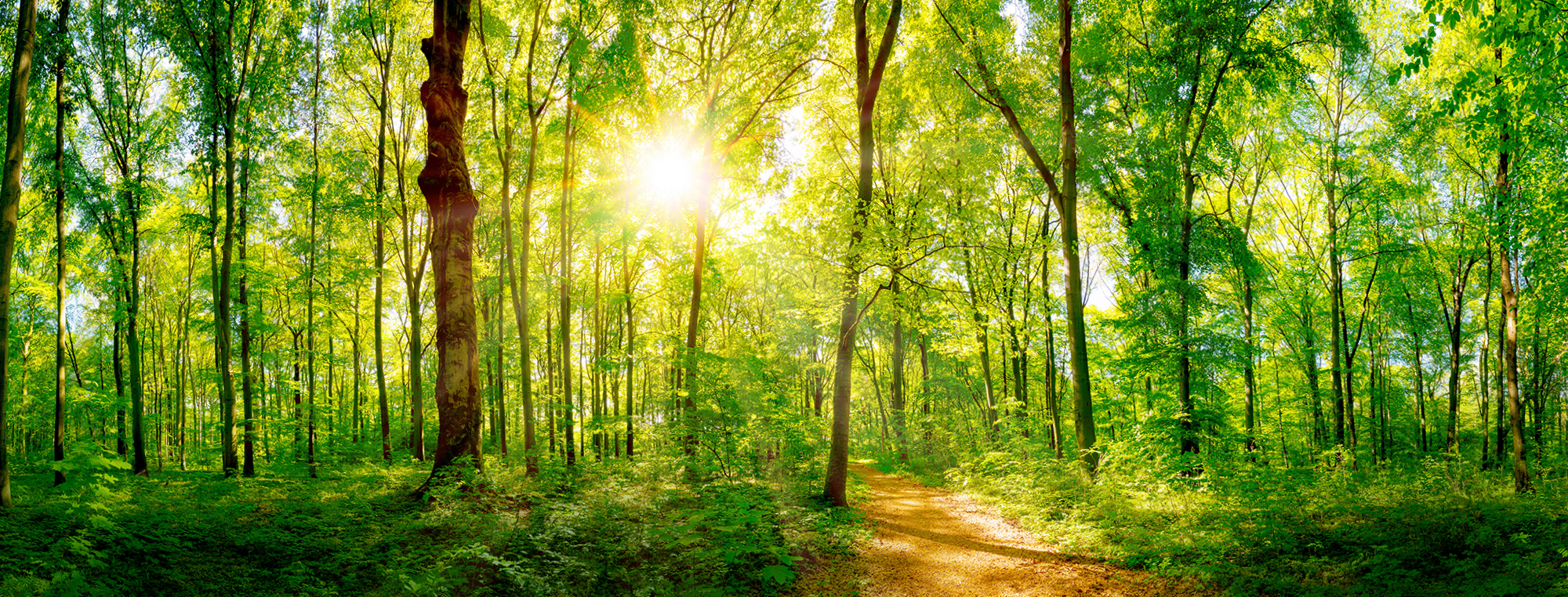 Karriere - Richard KEHR GmbH & Co. KG Pharmazeutische Großhandlung